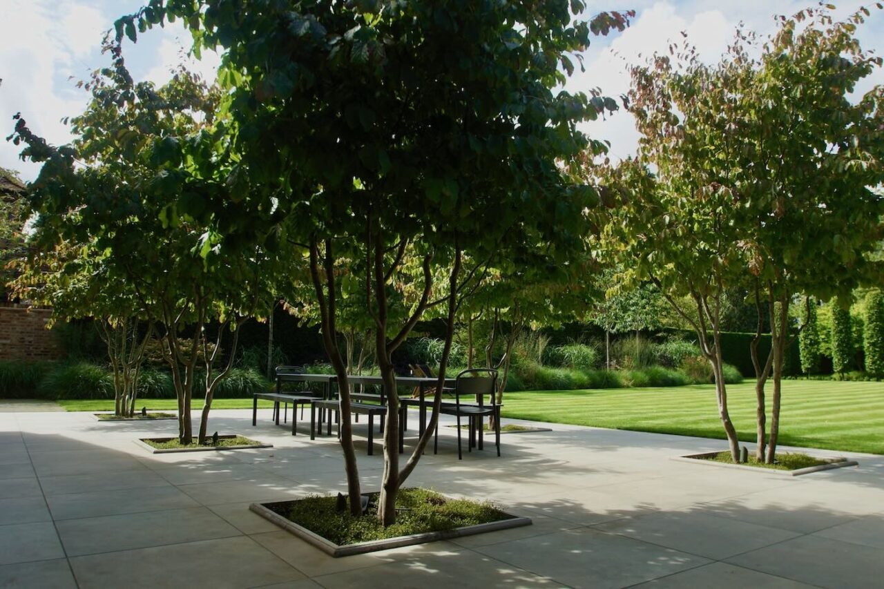 The Green Terrace Garden | Earth Landscapes, Garden & Landscape Design